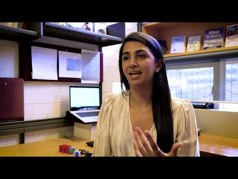 Meet Dr Negin Nazarian, Scientia Fellow
