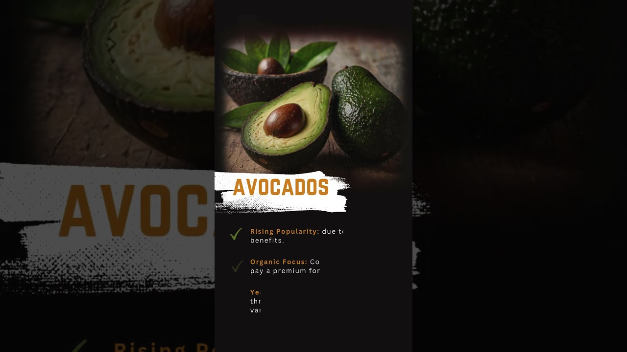 UAE Looking For Premium Mangoes and Avocados!