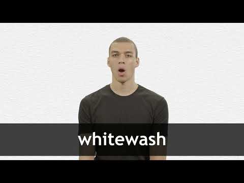 WHITEWASH definition and meaning | Collins English Dictionary