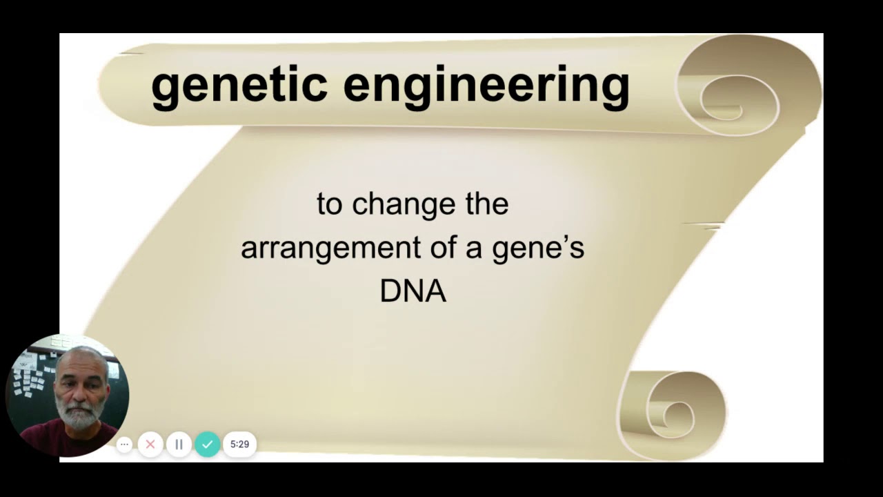Genetics Since Mendel Slide Deck   Google Slides