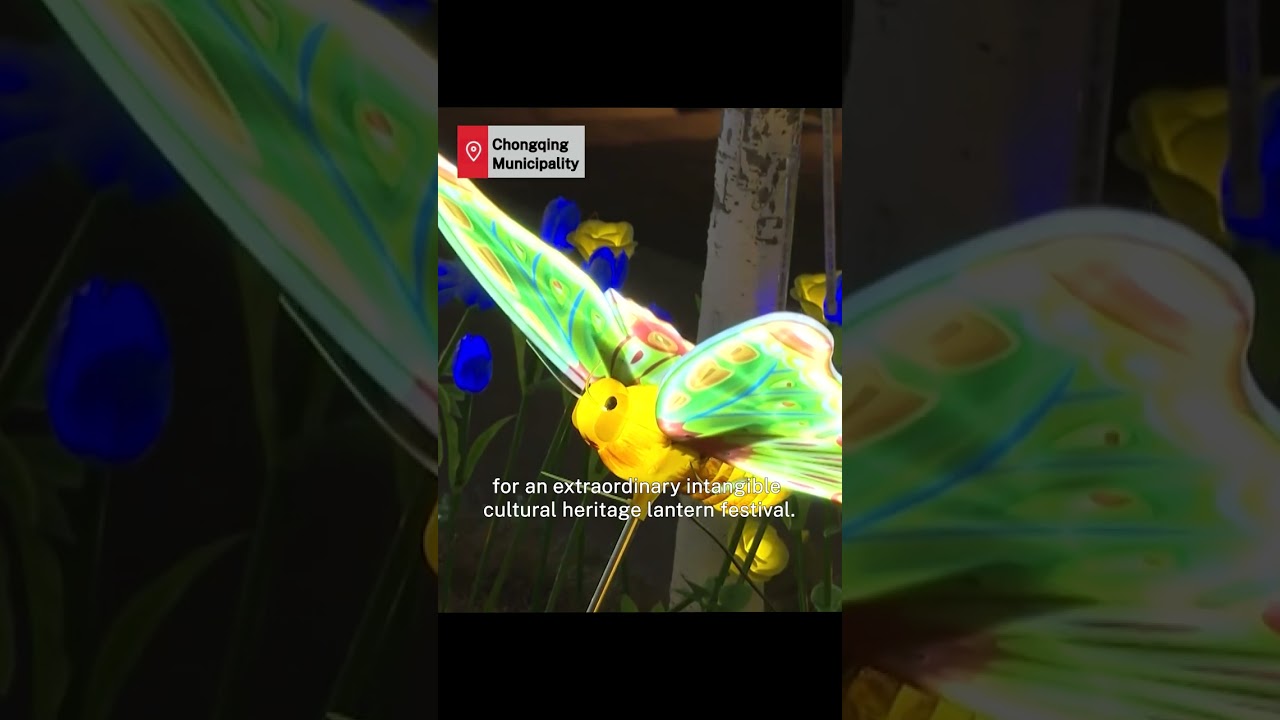 Illuminated flora: Hongling's dazzling night display