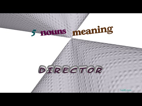 director - 11 nouns synonym of director (sentence examples)