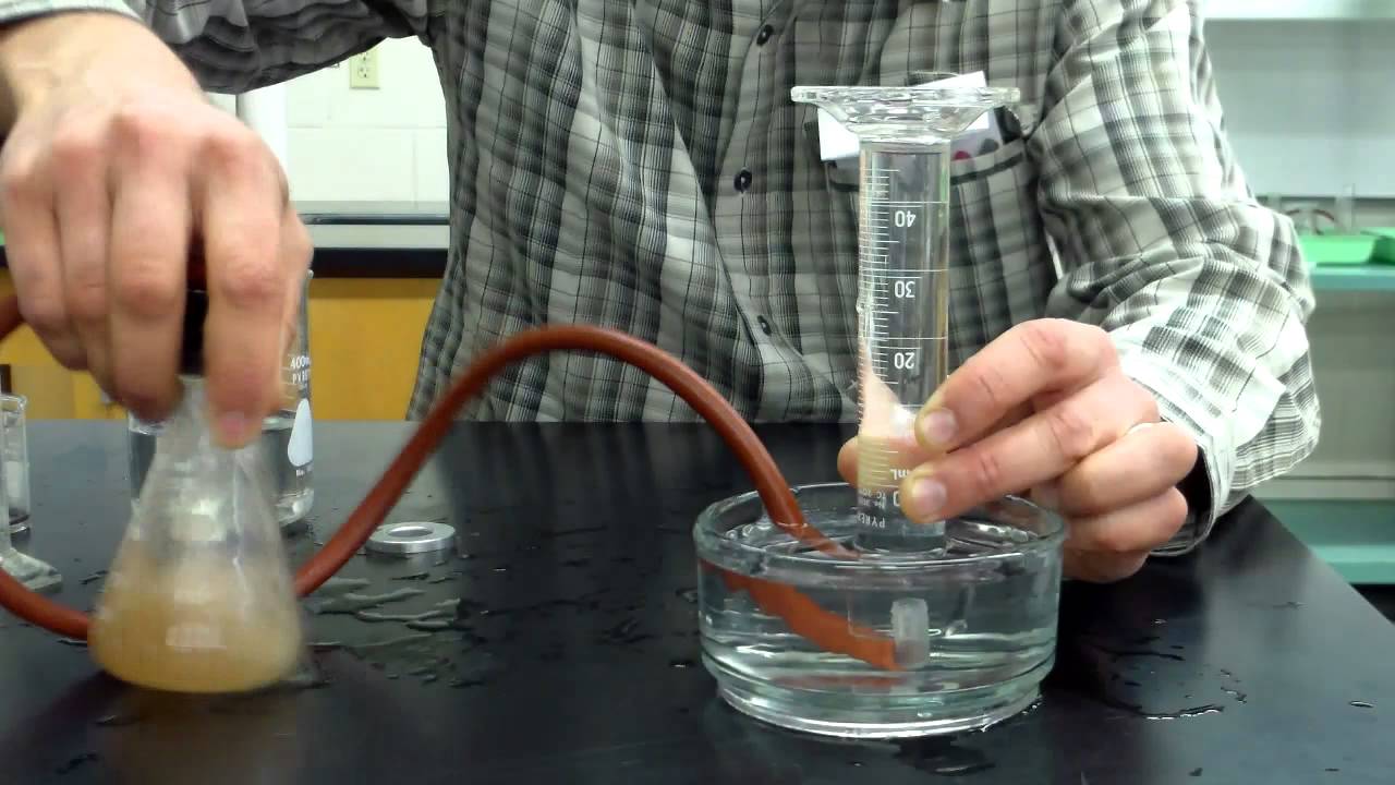Enzyme Lab Setup Demo