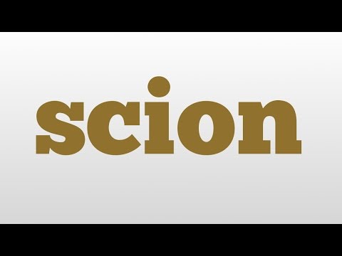 scion meaning and pronunciation