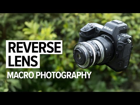 Nikon Z8: Reverse lens macro photography (1695)