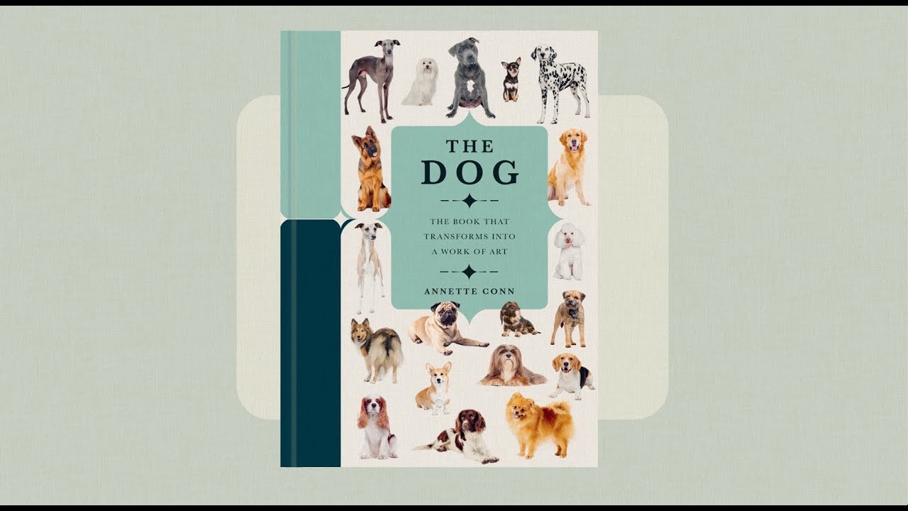 Paperscapes: The Dog