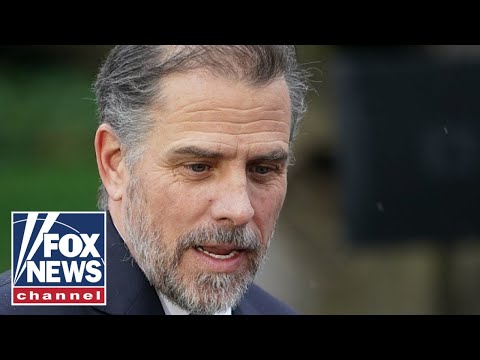 Hunter Biden whistleblower says he faced retaliation: 'I expect it to continue'