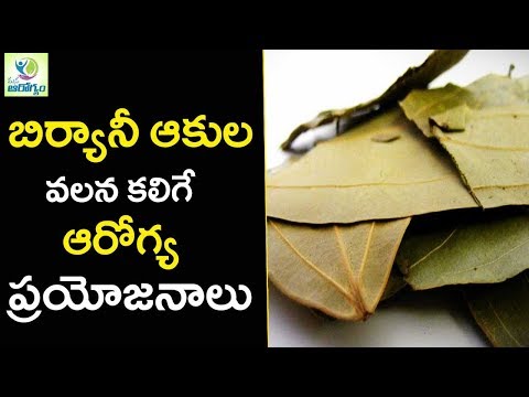 బిర్యానీ ఆకుల వలన కలిగే ఆరోగ్య' ప్రయోజనాలు - మన ఆరోగ్యం
