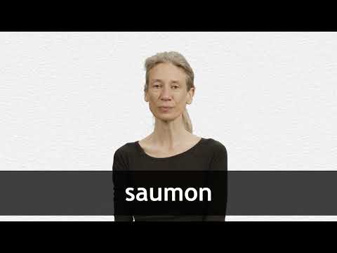 English Translation of “SAUMON” | Collins French-English Dictionary