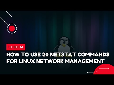 How to use 20 Netstat commands for Linux Network Management | VPS Tutorial