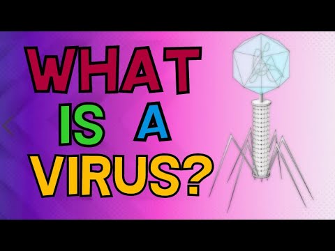 What is a Virus? BASIC INFORMATION ON THE STRUCTURE, FUNCTION AND REPLICATION OF A VIRUS