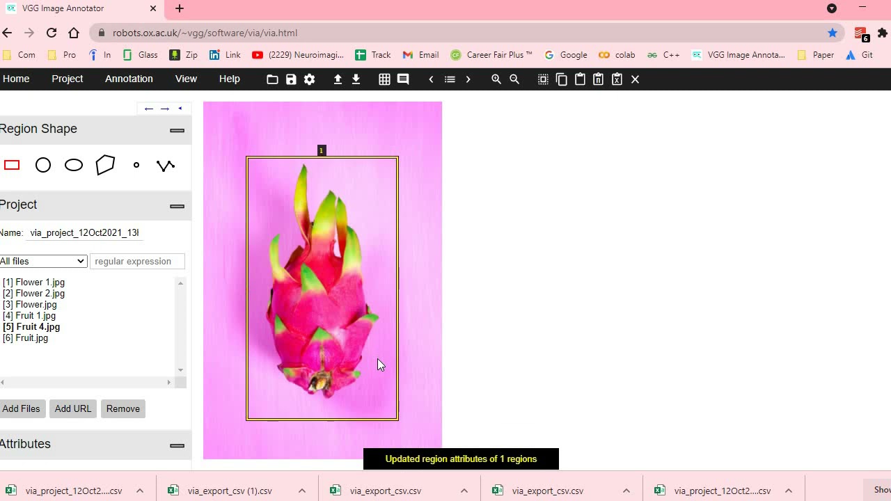 VGG Image Annotator