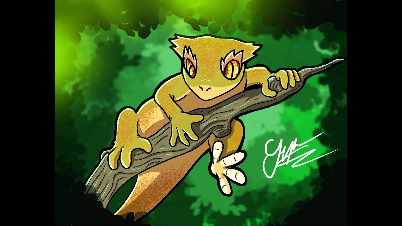 Episode 5: Drawing A Crested Gecko