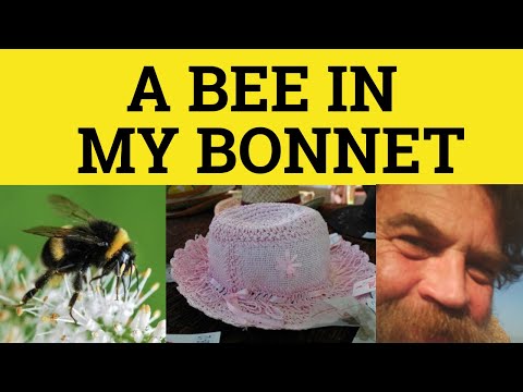 Bee in His Bonnet Meaning - Bee in My Bonnet Examples - Idioms - Bee in His Bonnet - RP Accent - ESL