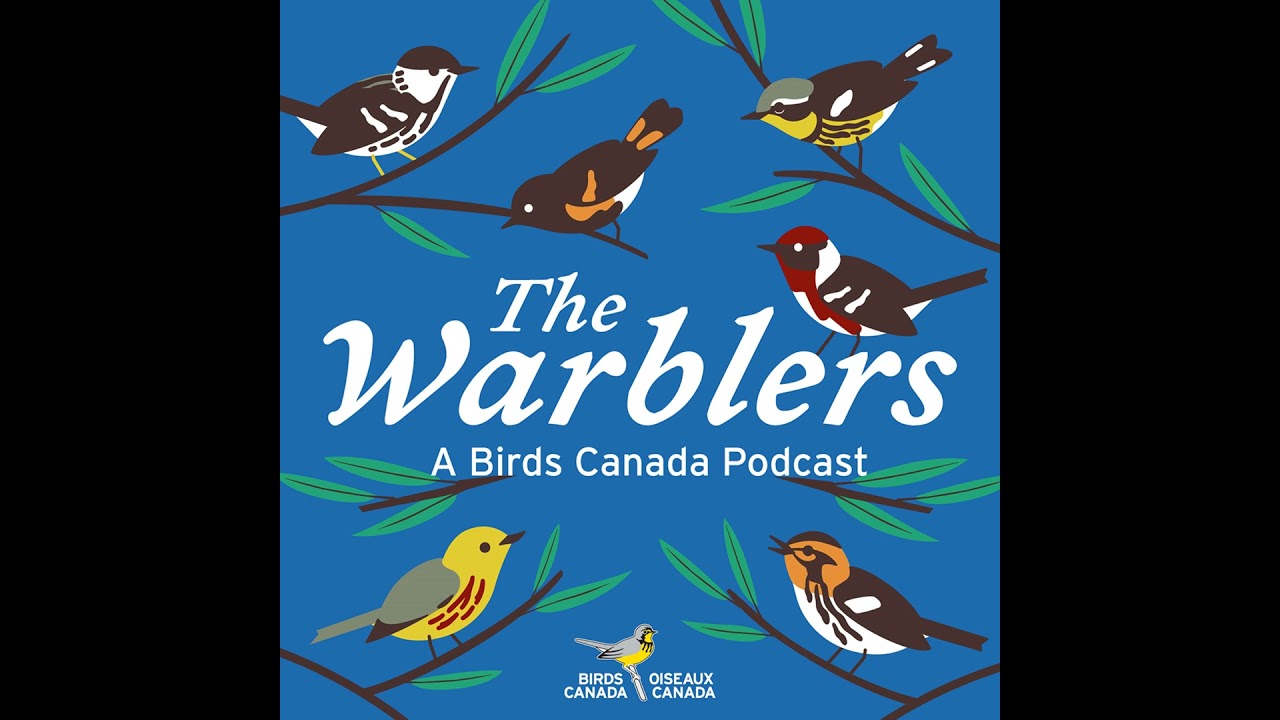 Monitoring an icon - the story of the Common Loon in Canada