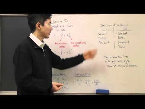 Vector Forms of 3D Lines and Angles Between Them