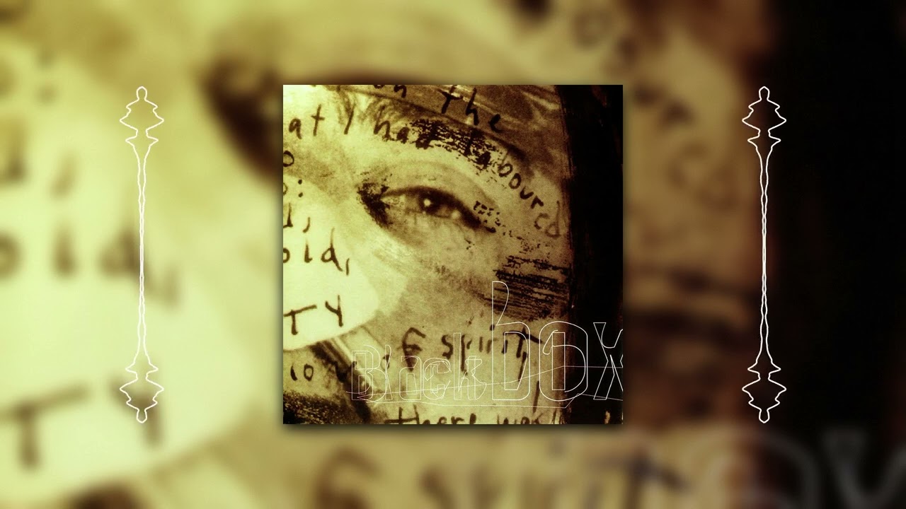 Wax Trax: The Black Box Three