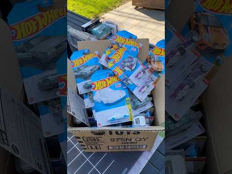 Pick a fave. Hot Wheels 2024 N Case Highlights…#hotwheels