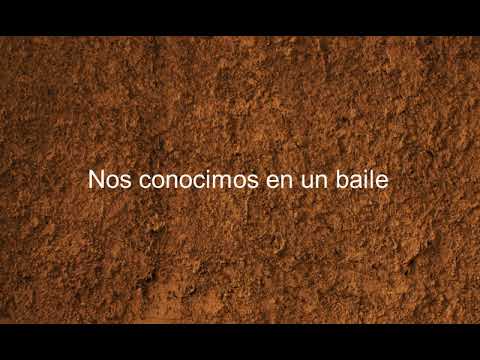 How to say We Met At A Dance in Spanish