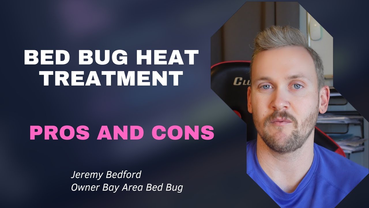 PROS and CONS of a bed bug heat treatment