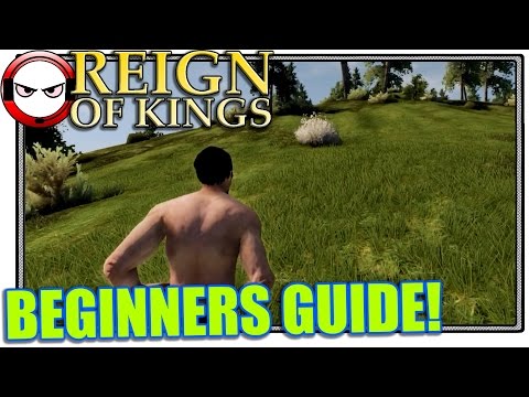 Steam Community :: Video :: Reign of Kings Beginners Guide (Tutorial)