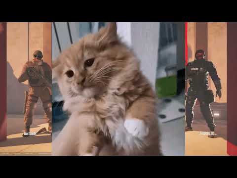 Steam Community :: Video :: My autistic siege life