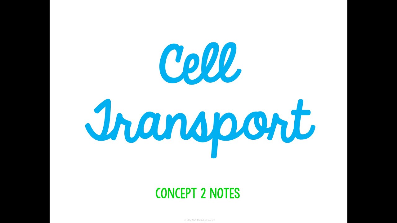 Unit 2 Cells Concept 2 Notes *UPDATED*