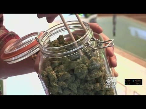 Big Names, Money Ignite California Marijuana Legalization