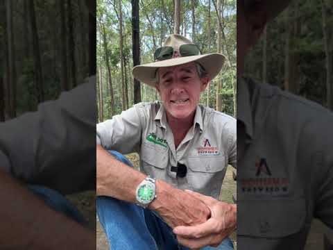 Good old Aussie Slang.#askanyaussie #australia #crocturnbull #aussieslang