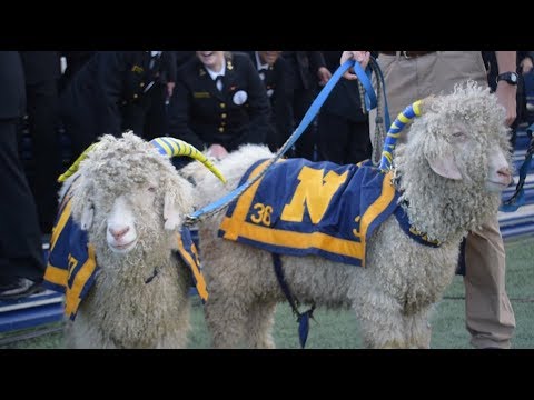 2018 Campus Connect - Navy, Bill the Goat