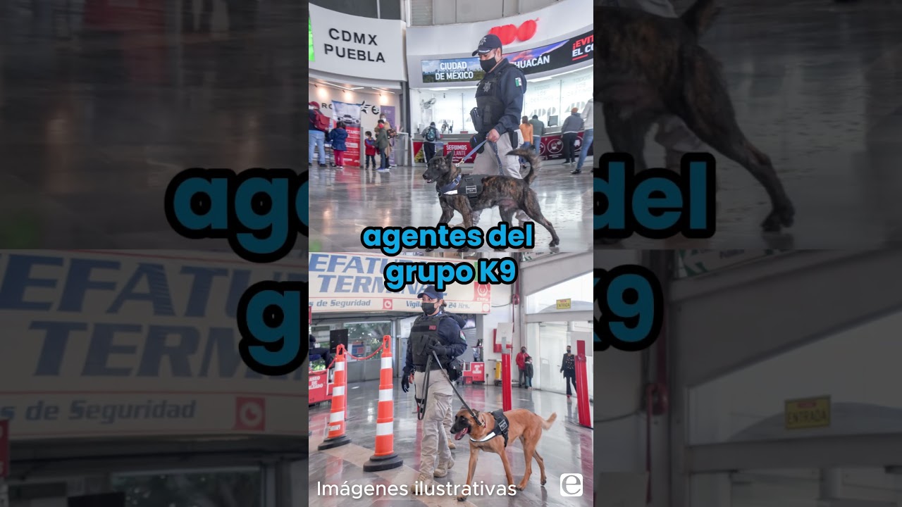 Detenien en la CAPU a hombre con 700 mil pesos y drogas