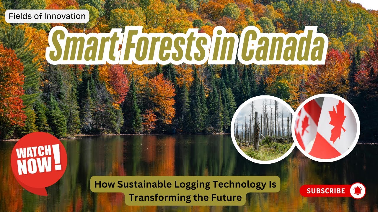 150 - Smart Forests in Canada: How Sustainable Logging Technology Is Transforming the Future