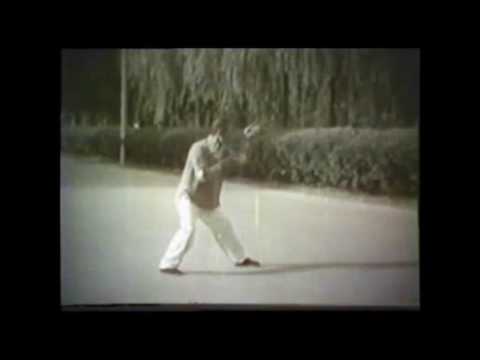 What Tai Chi Style Should I Choose? A Short Guide to 13(!) Tai Chi ...