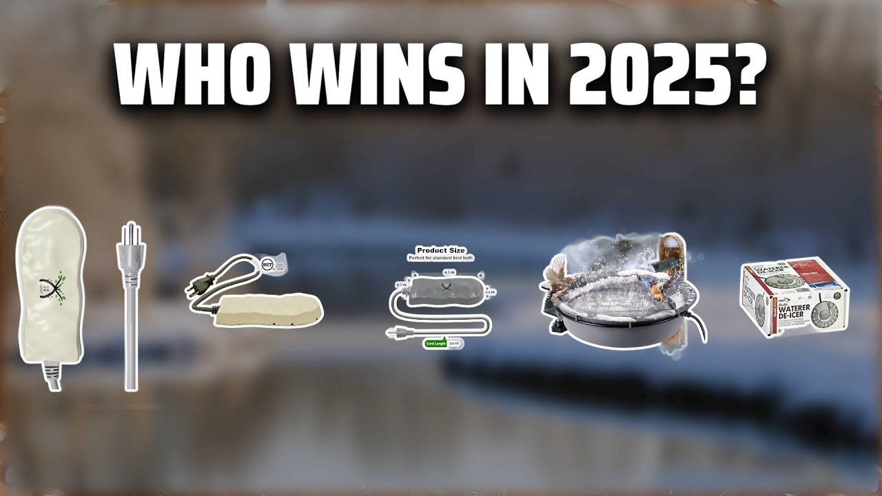 The Top 5 Best Bird Bath Deicer in 2025 - Must Watch Before Buying!