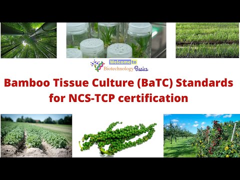 Bamboo Tissue Culture (BaTC) Standards for NCS-TCP certification of Micropropagation unit