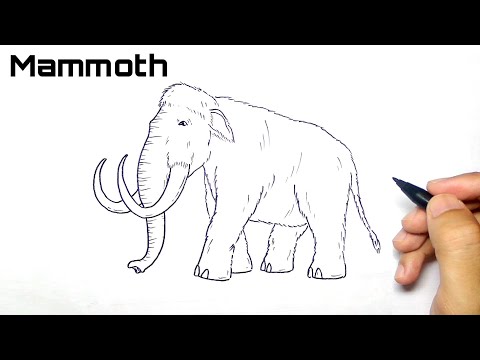 How to draw A Woolly Mammoth Step by Step – I'm Youtuber – Follow my ...