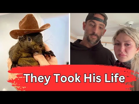 The Heartbreaking Story Behind Peanut The Instagram Squirrel...
