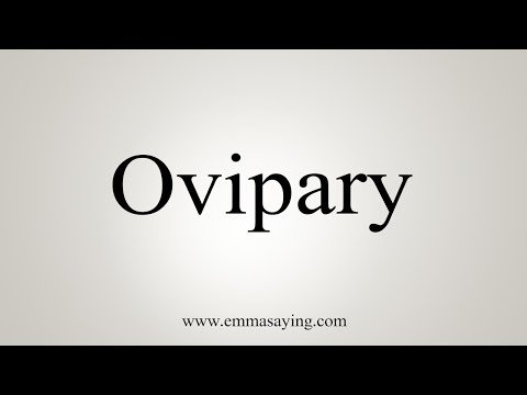 How To Say Ovipary