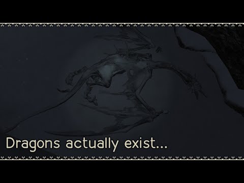 Dragons in The NieR Universe