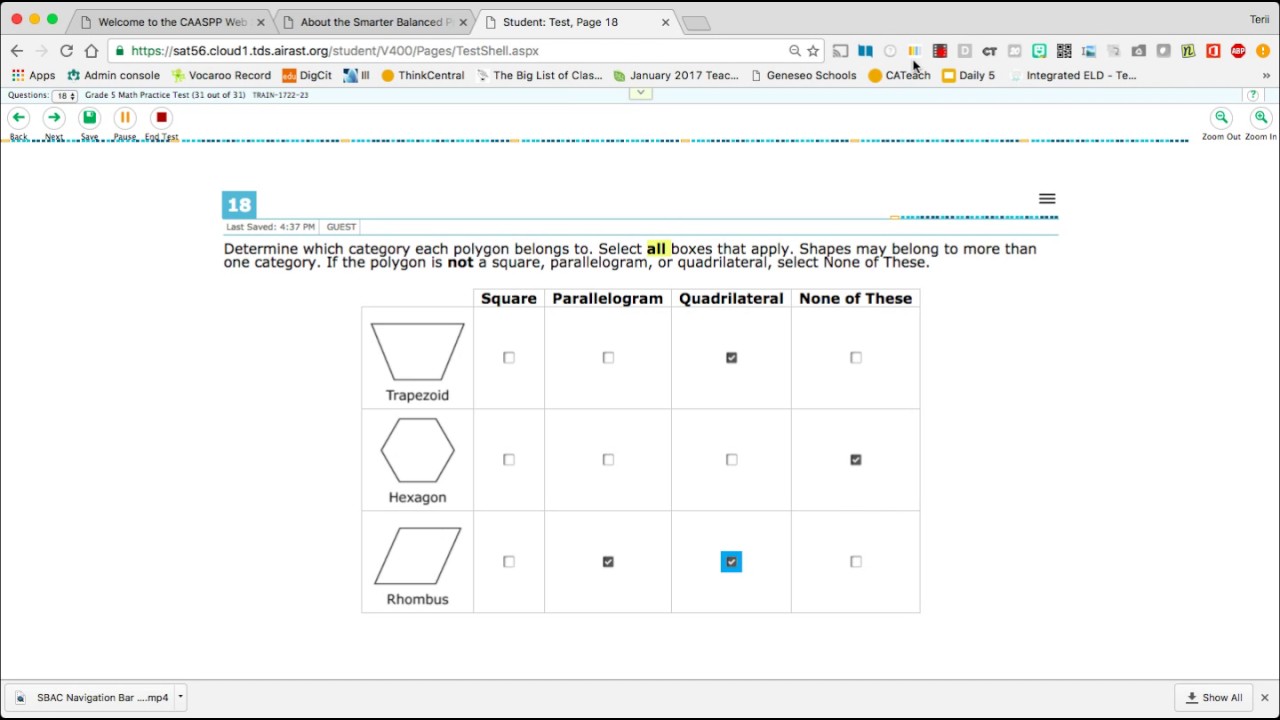 Item Specific Tools on the SBAC Math Practice Test