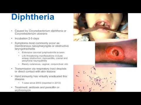 Diphtheria - Epidemiology and Treatment Approaches