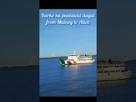Roro Philippines #shorts #travel #leyte