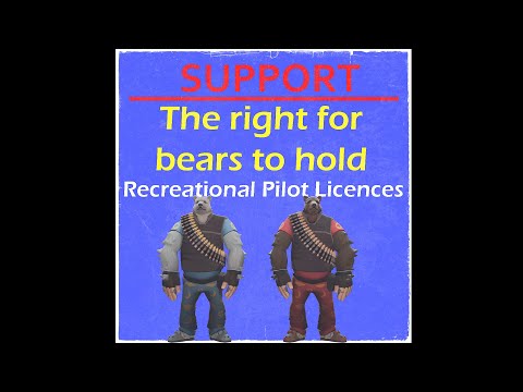 Steam Community :: Video :: Powerful Bear Heavies are taking flight in TF2