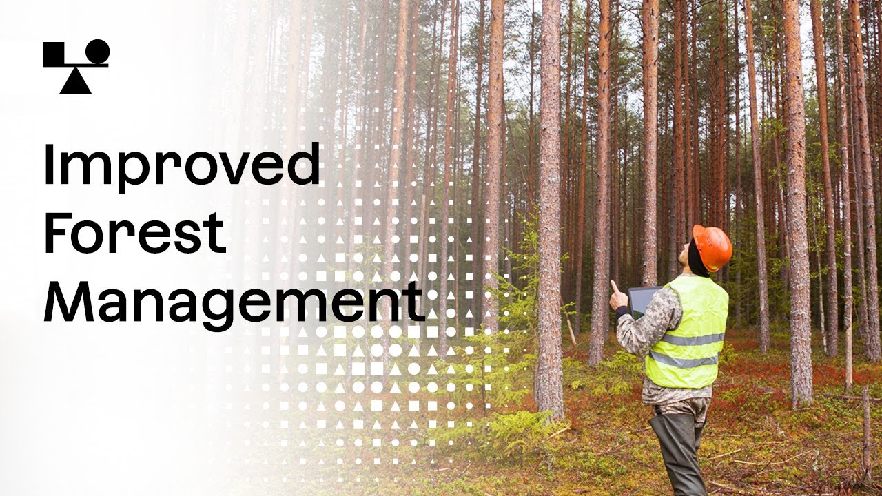 Improved Forest Management  | Sector Snapshot