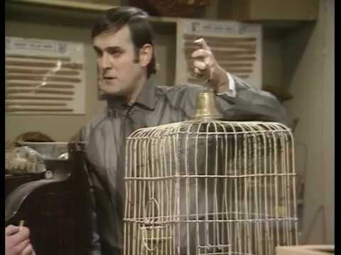 Monty Python - Pet Shop - Dead Parrot