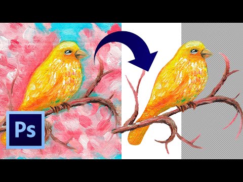 How to Create TRANSPARENT Background in Photoshop CC