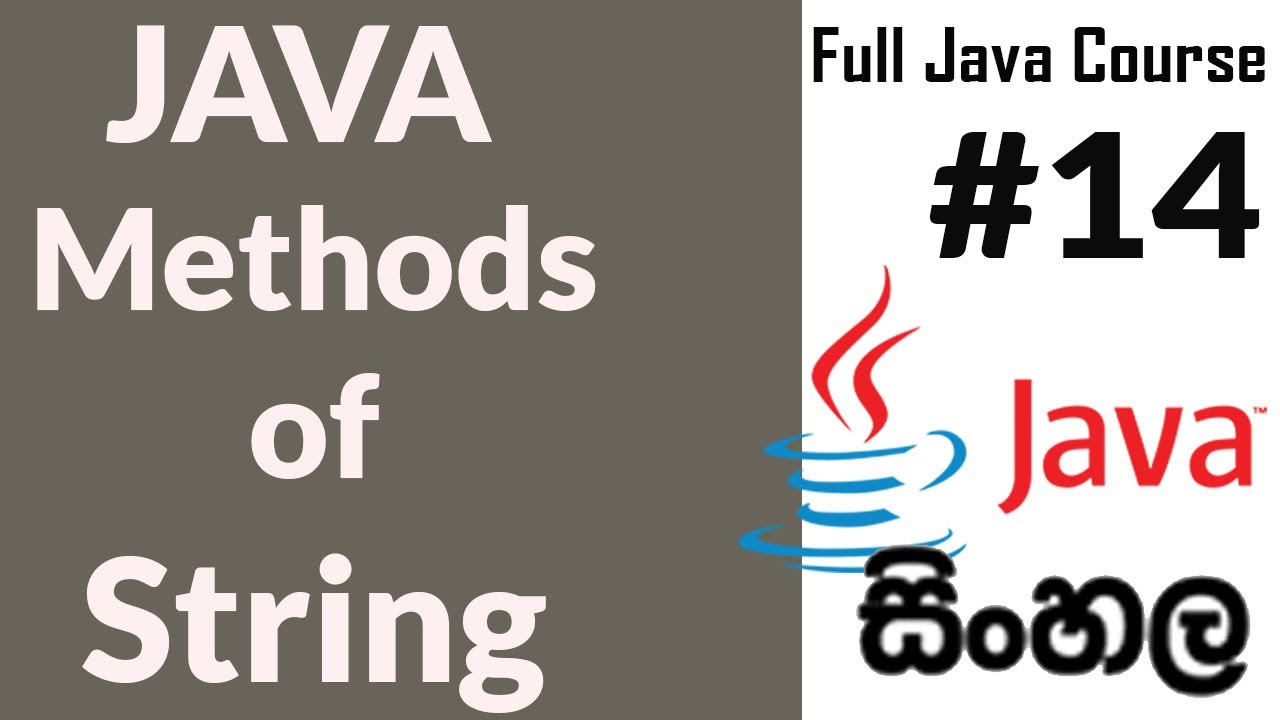 How to Use Java String class methods | Java Sinhala | java String class | Part 14