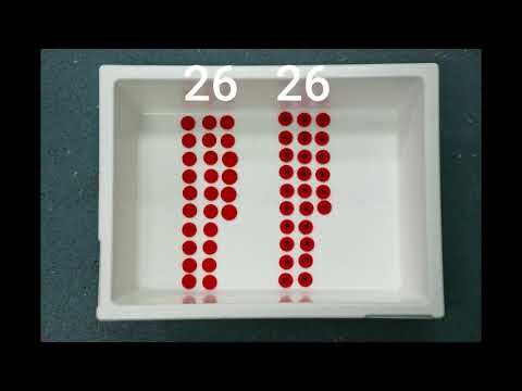 Half-life and Radioactive Decay (no results)