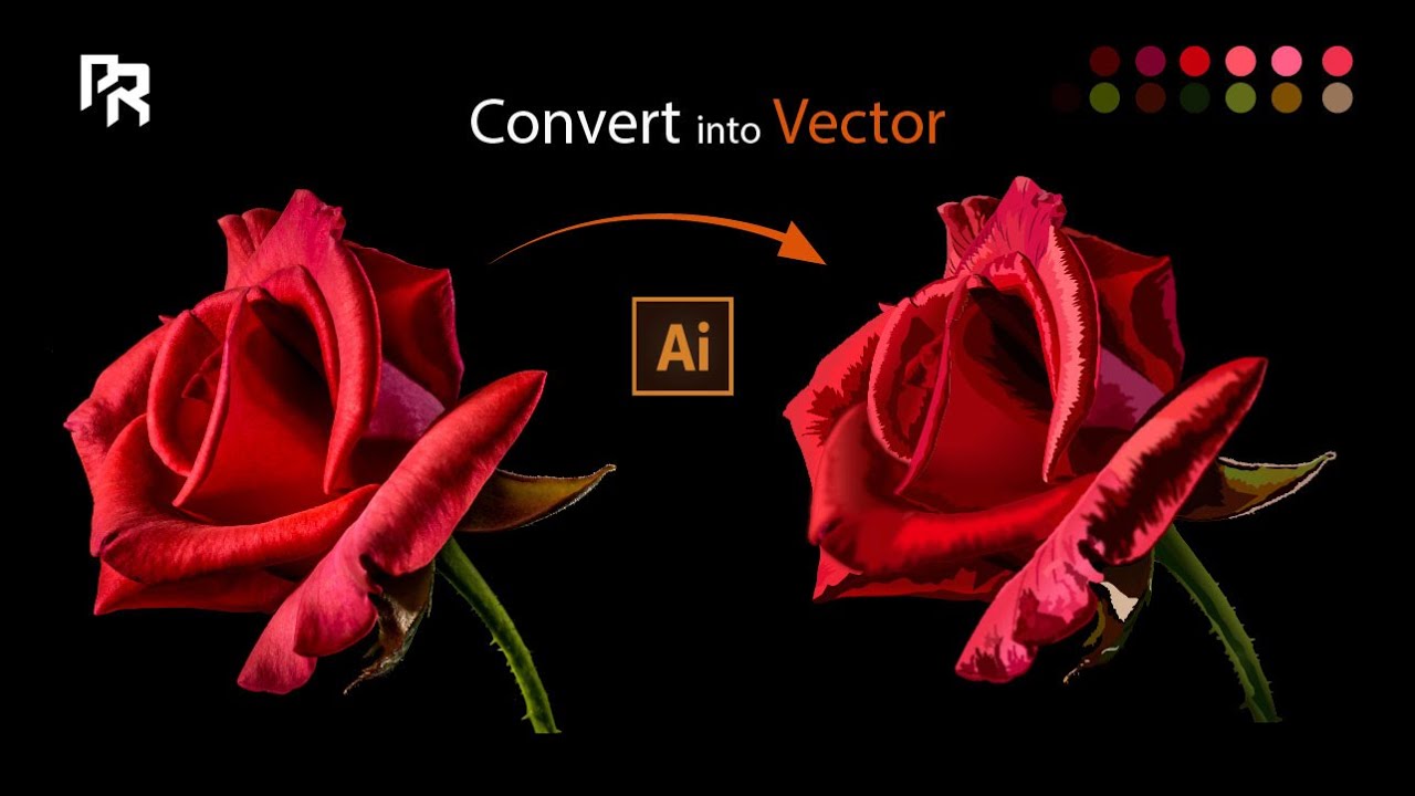 How to convert Red Rose into Vector illustration in Details