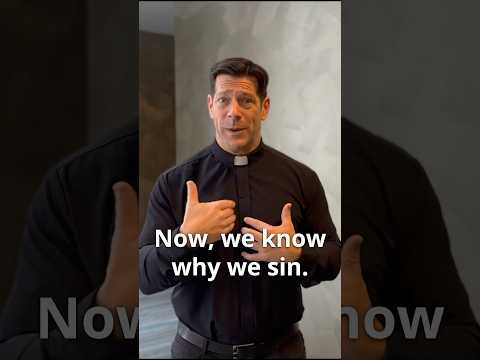 Ash Wednesday Bible Study | Feat. Special Guest Fr. Mike Schmitz
